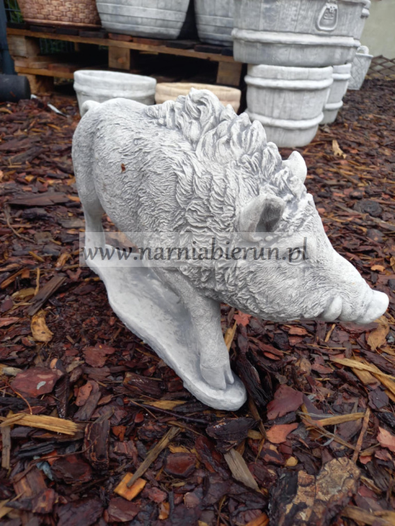 Figurka betonowa DZIK DUŻY 46 cm > Narnia Bieruń > Najlepsze produkty w ...